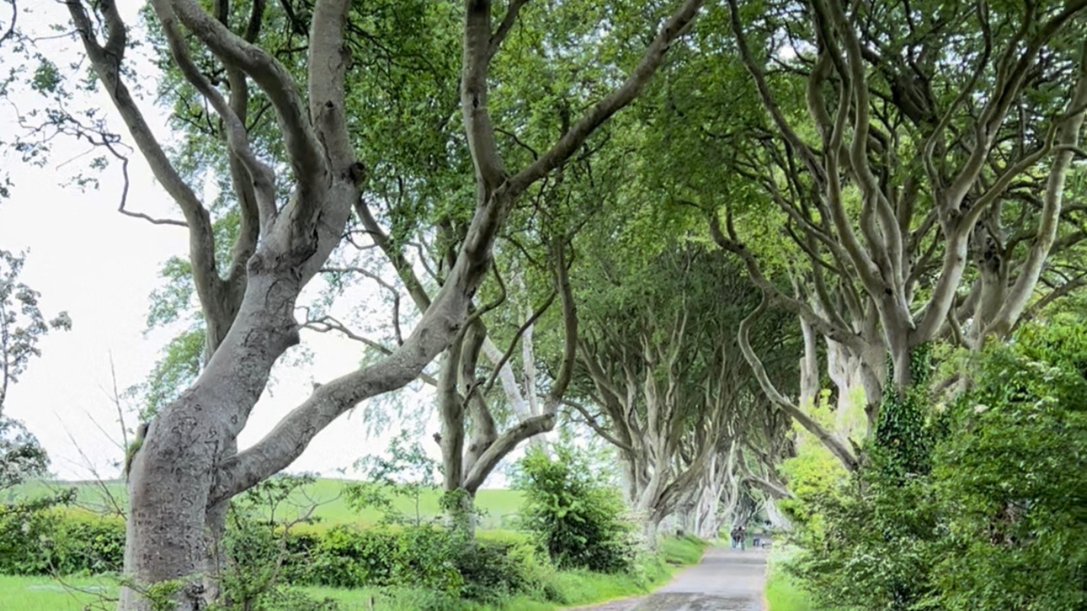 Exploring Ireland: Dublin and Beyond – Nomadic Neen